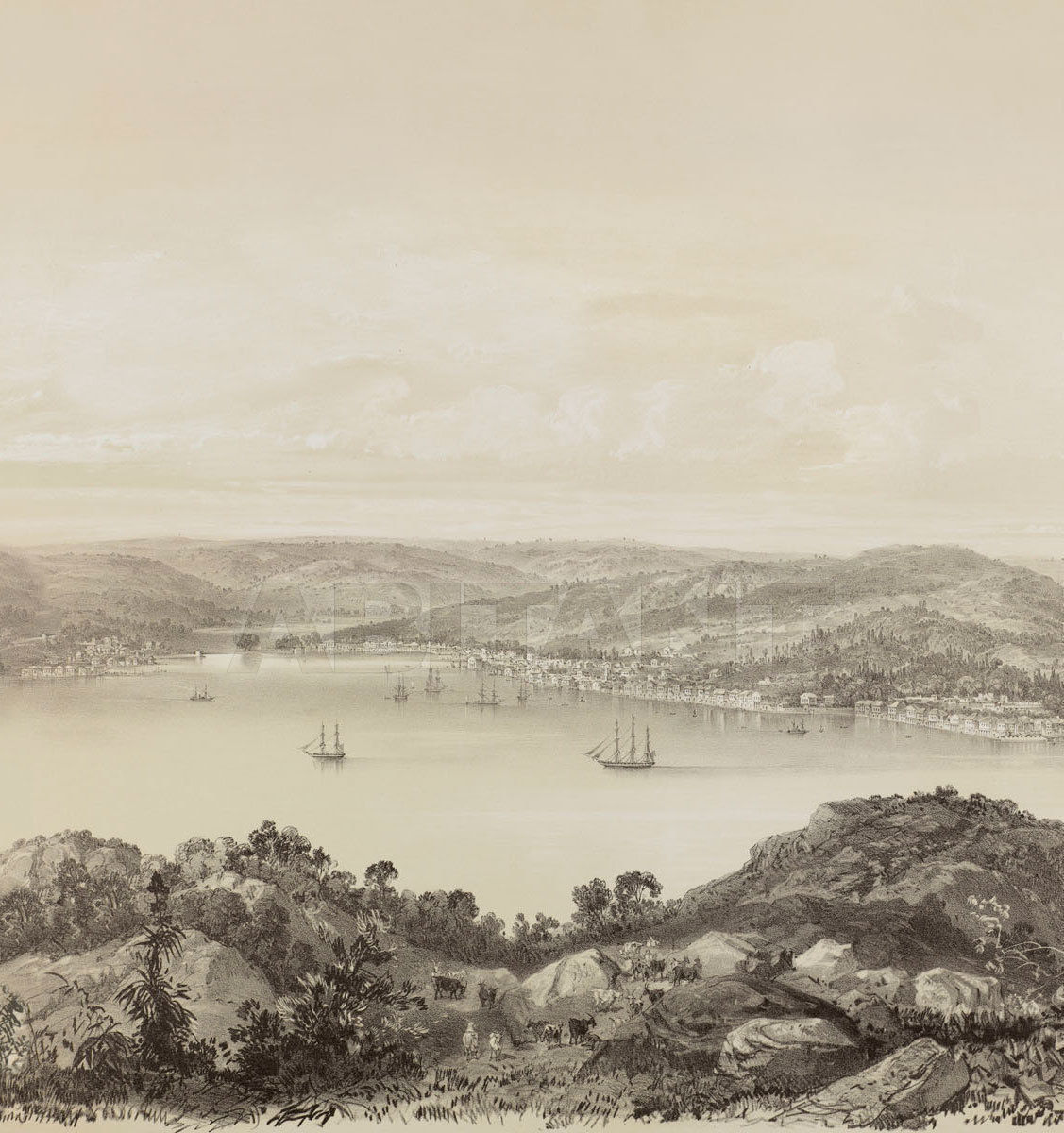 Wallpaper Ivory Iksel Schranz Sepia Bosphorus, : Buy, оrder оnline on ...